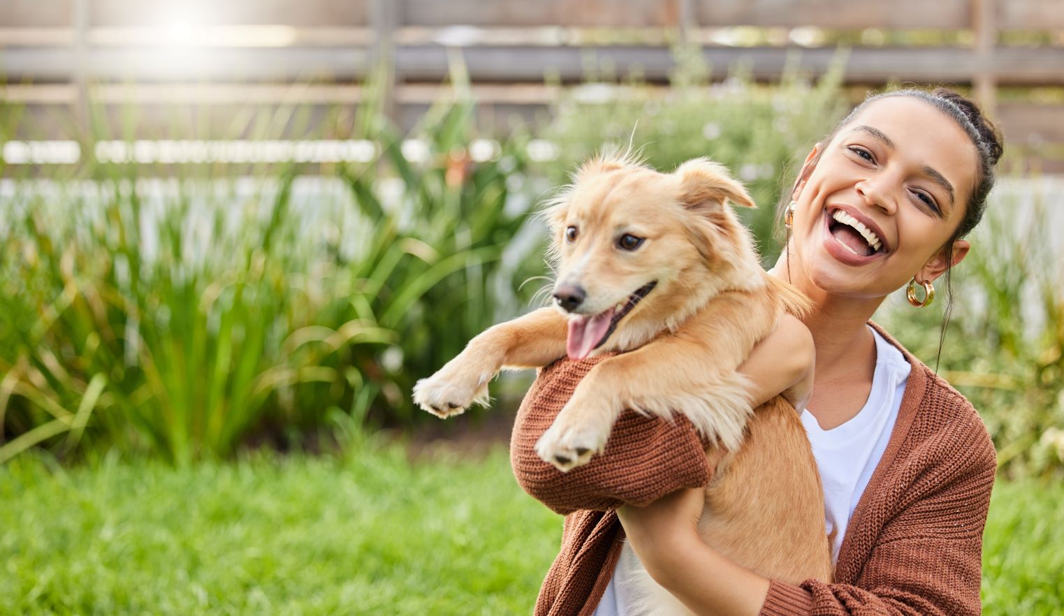 Internationaler Welthundetag: Wir feiern den Hund – haustierkost.de®
