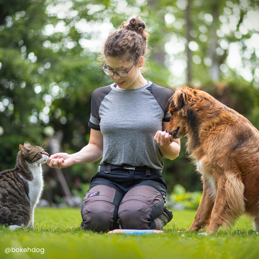 Internationaler Welthundetag: Wir feiern den Hund – haustierkost.de®