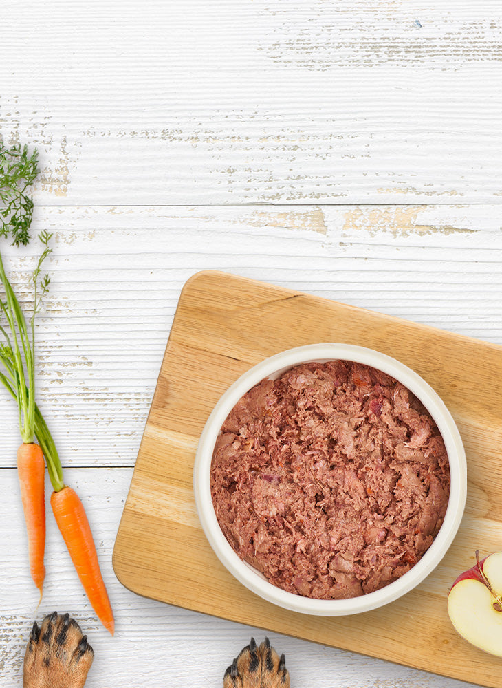 Internationaler Welthundetag: Wir feiern den Hund – haustierkost.de®